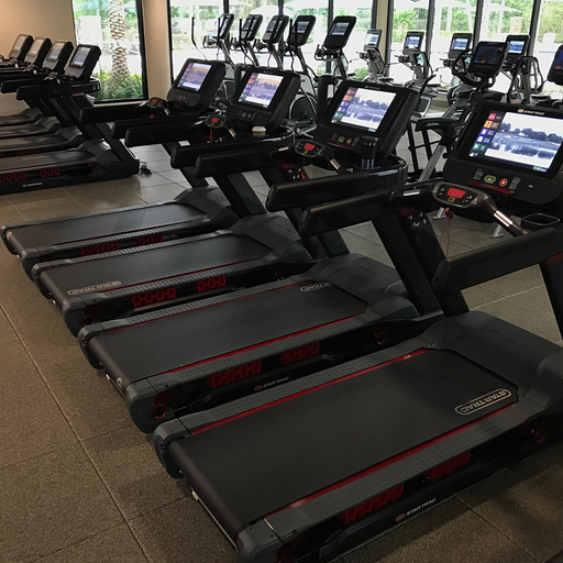 Treadmills — D&D Barbell Company