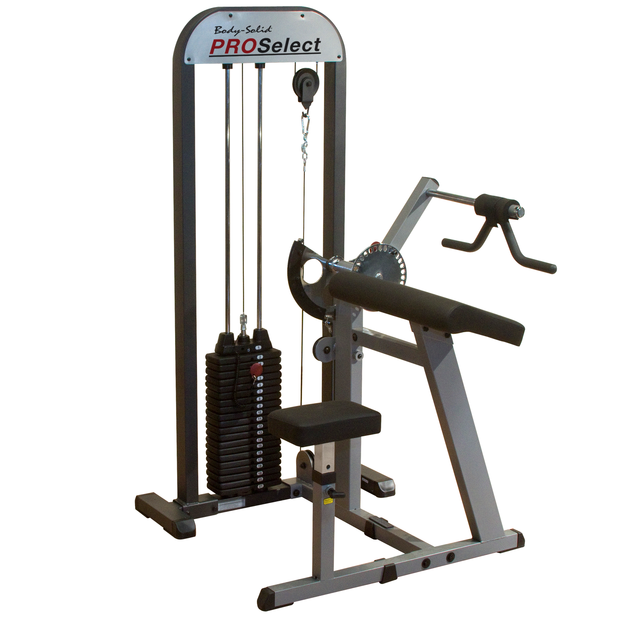 Biceps & Preacher Curl Machines — D&D Barbell Company